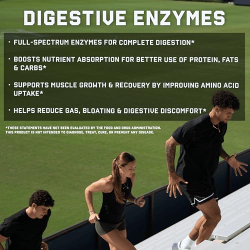 enhance nutrient absorption enzymes