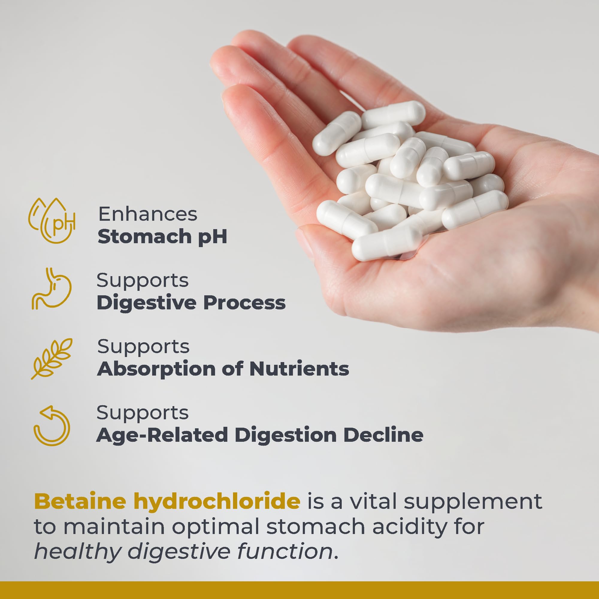 enhance nutrient absorption supplement