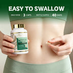 enhance nutrient absorption with enzymes
