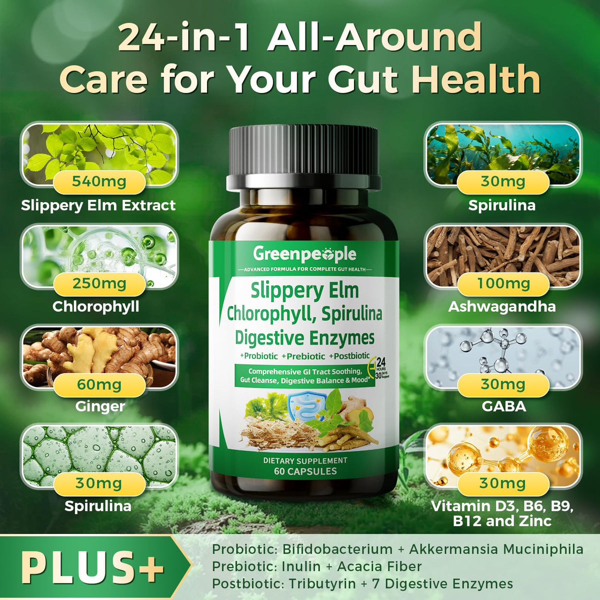 enhance nutrient absorption with enzymes