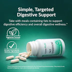 enhance nutrient absorption with enzymes