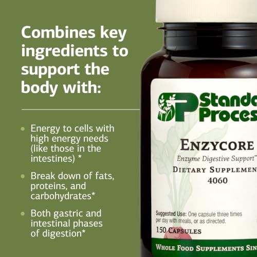 enhance nutrient absorption with enzymes