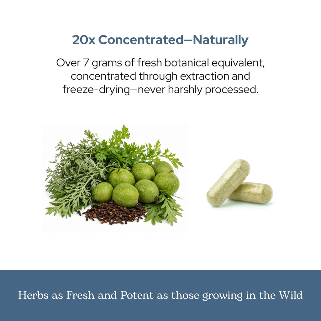 enhance nutrient absorption with enzymes