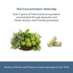enhance nutrient absorption with enzymes