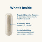 enhance nutrient absorption with enzymes