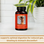 enhance nutrient absorption with enzymes