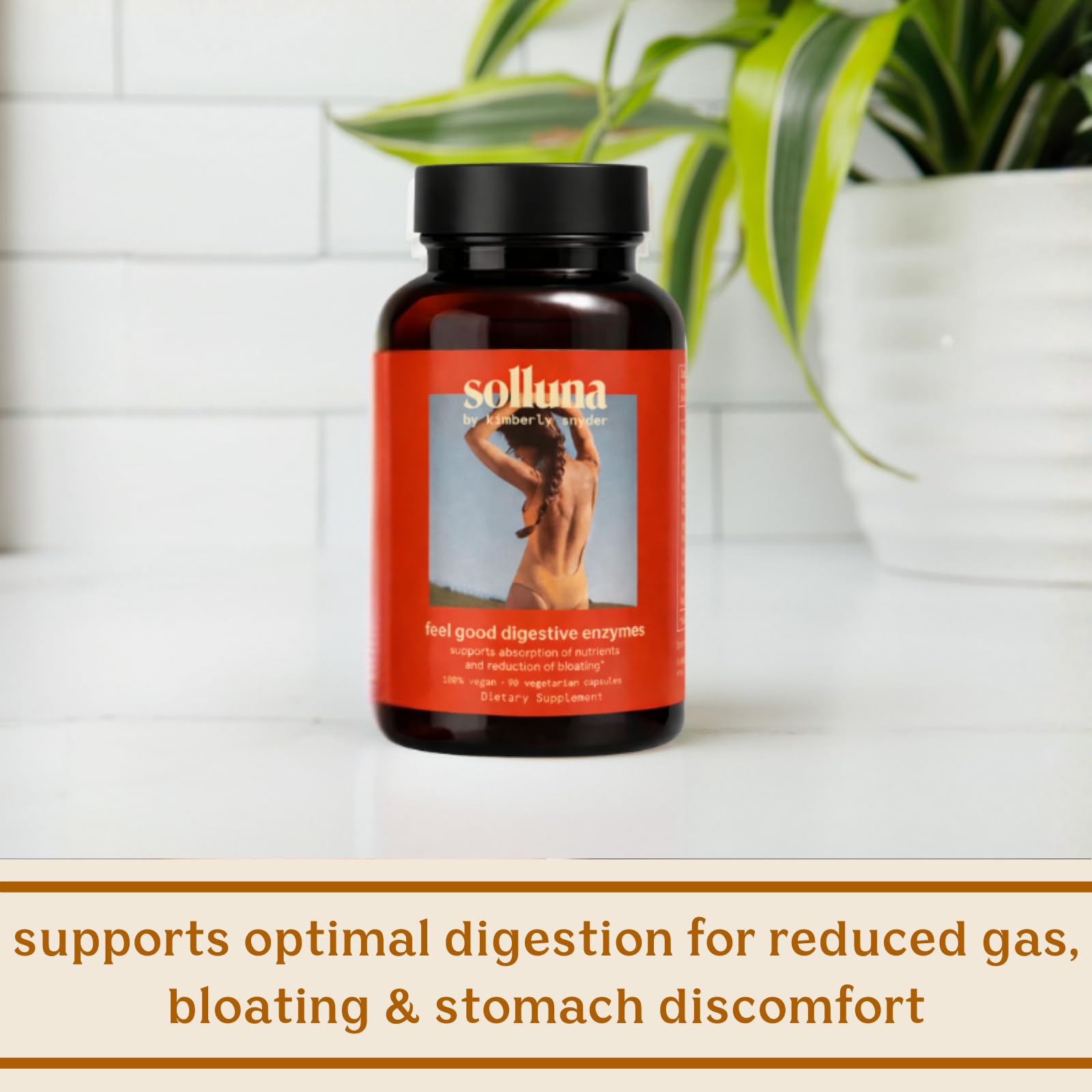enhance nutrient absorption with enzymes
