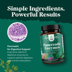 enhance nutrient absorption with enzymes