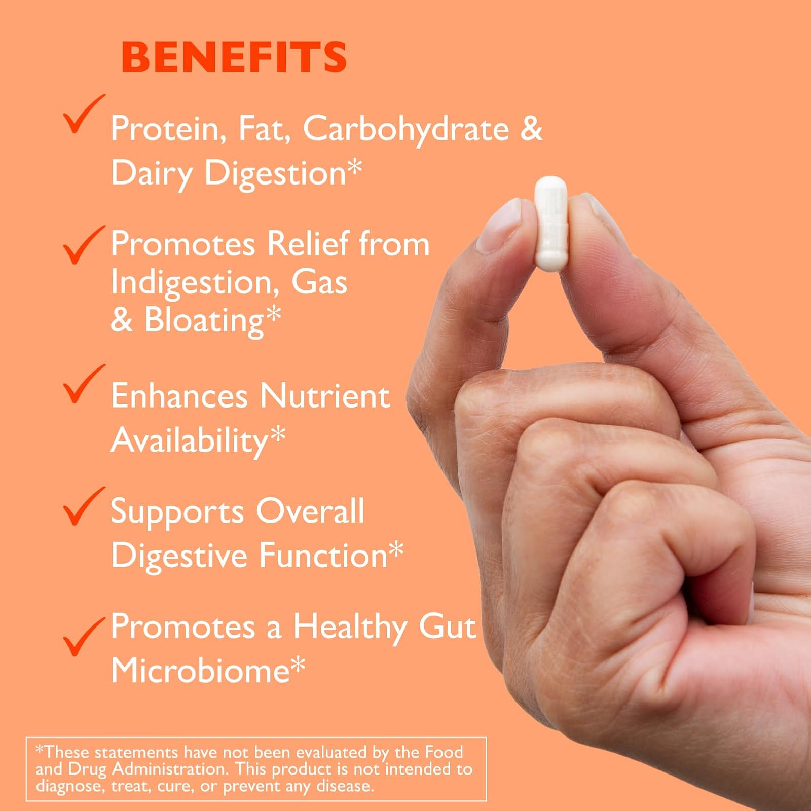 enhance nutrient absorption with enzymes