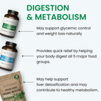 enhance nutrient absorption with enzymes