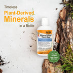 Enhance nutrient absorption with fulvic