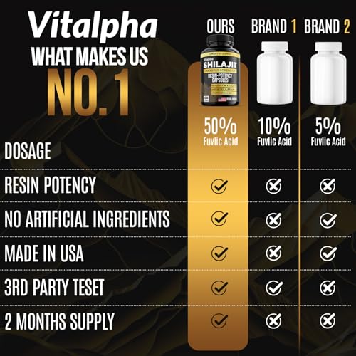 Enhance nutrient absorption with Shilajit
