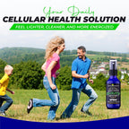 enhance nutrient absorption with zeolite
