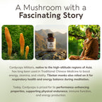 enhance performance with cordyceps