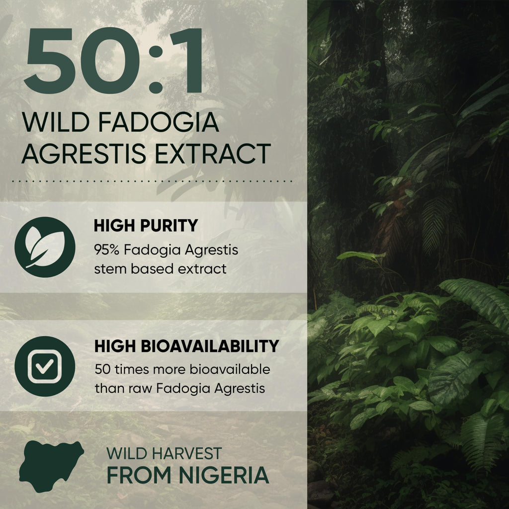 Enhance performance with Jungle Powders