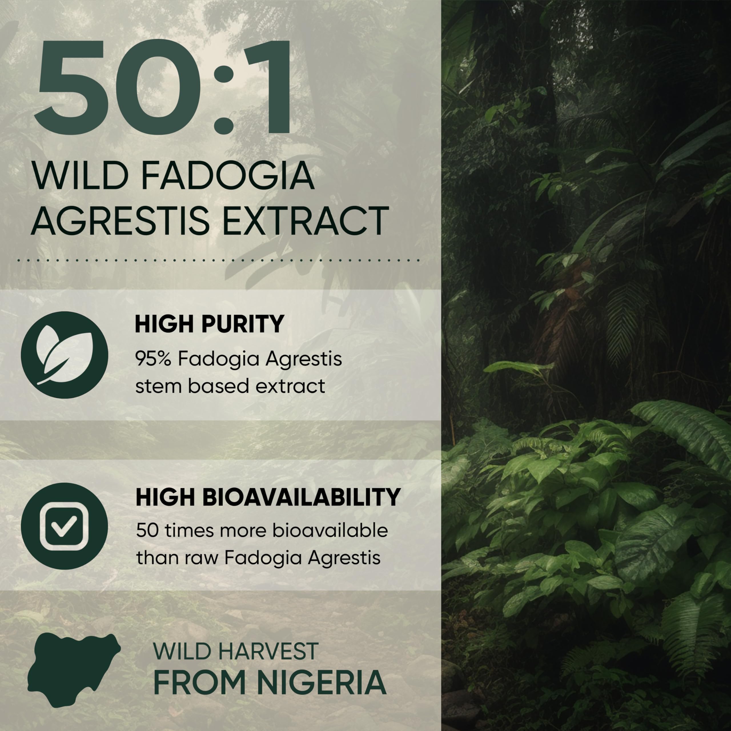 Enhance performance with Jungle Powders