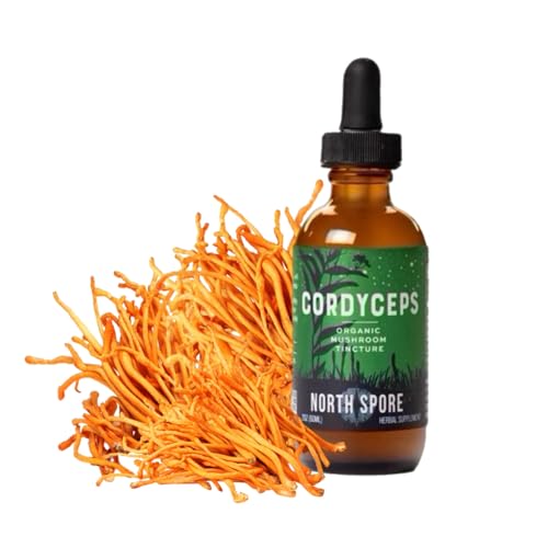 Enhance performance with mushrooms tincture