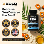 enhance performance with plant based protein