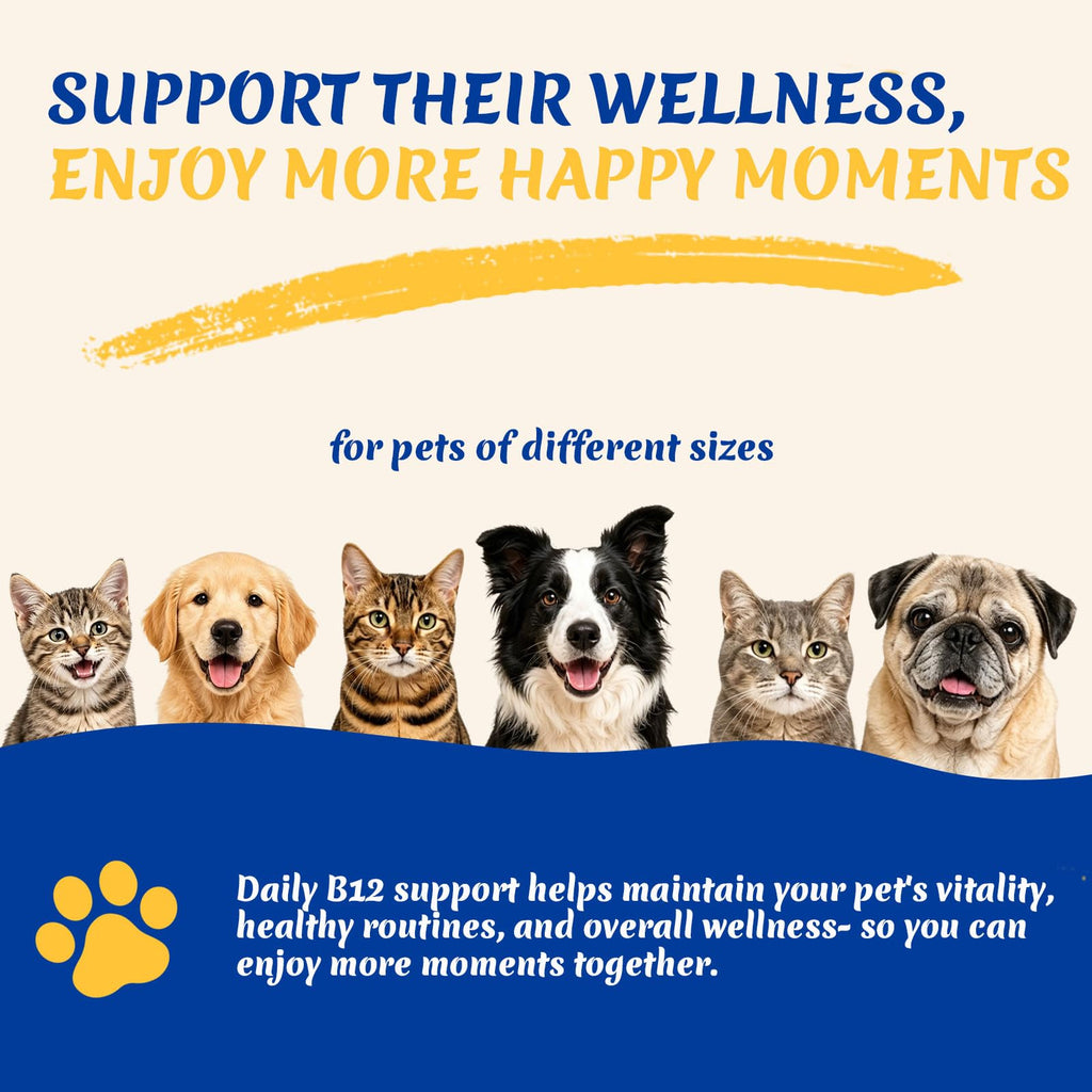 Enhance pet appetite naturally