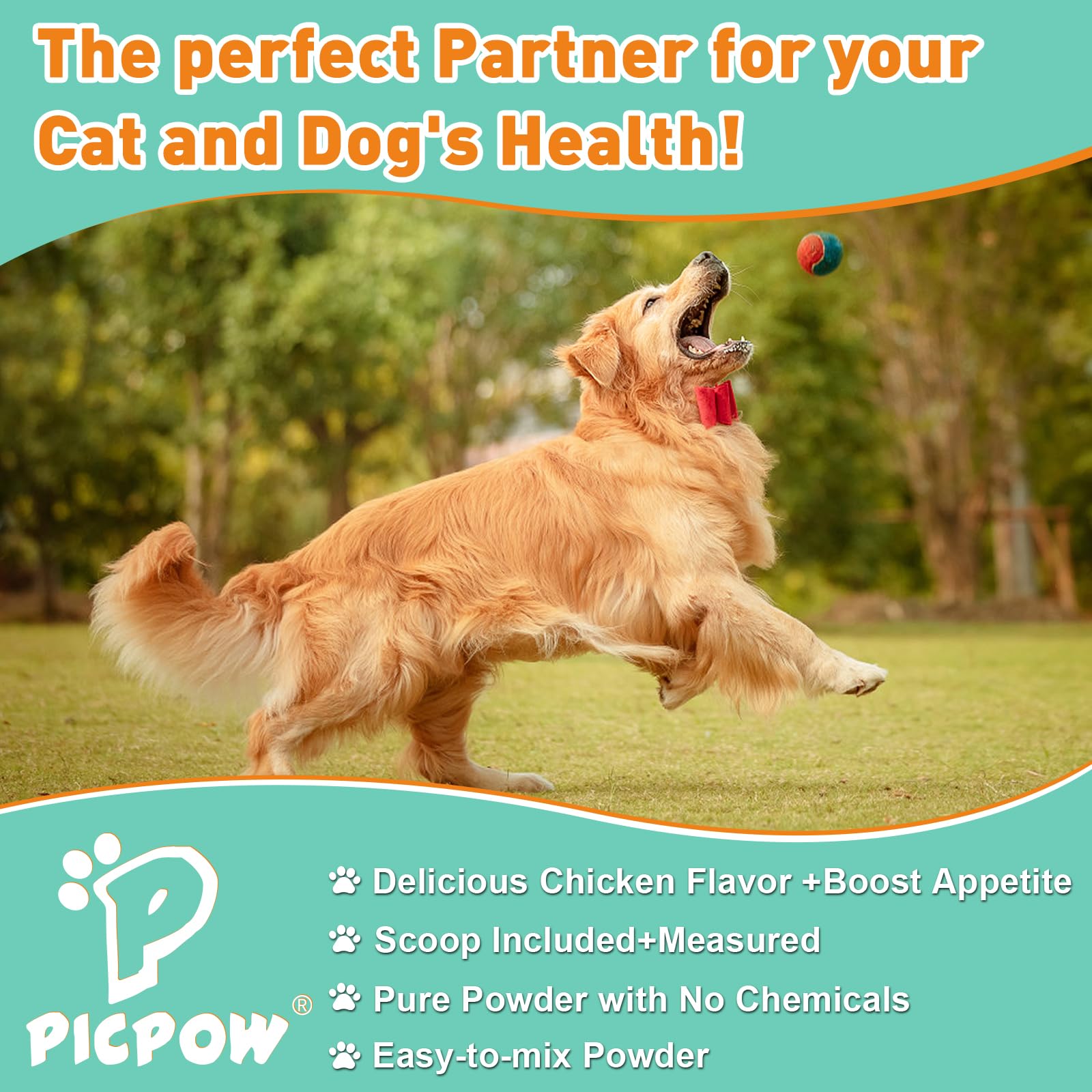 Enhance pet gut health with probiotics