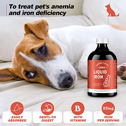 enhance pet vitality with iron