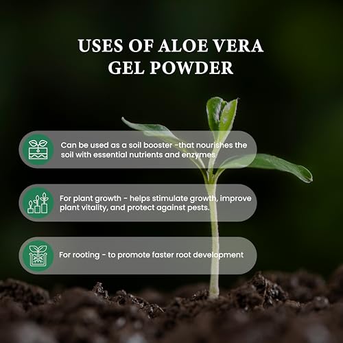 enhance plant growth with aloe vera