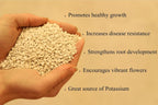 enhance plant growth with potassium sulfate