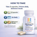 enhance protein digestion with Bruizex