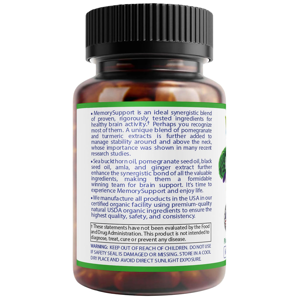 enhance recall with ginkgo biloba