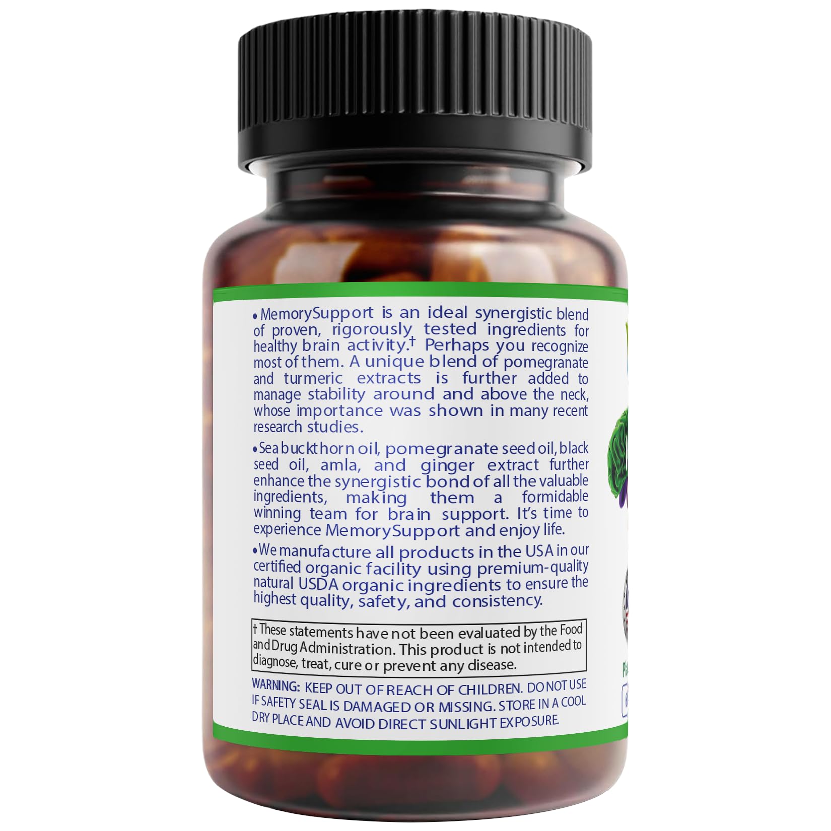 enhance recall with ginkgo biloba