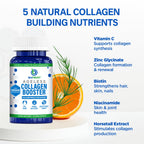enhance skin elasticity with collagen