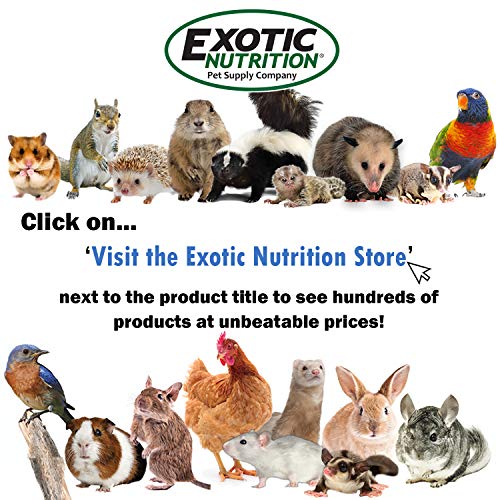 enhance squirrel diet with calcium