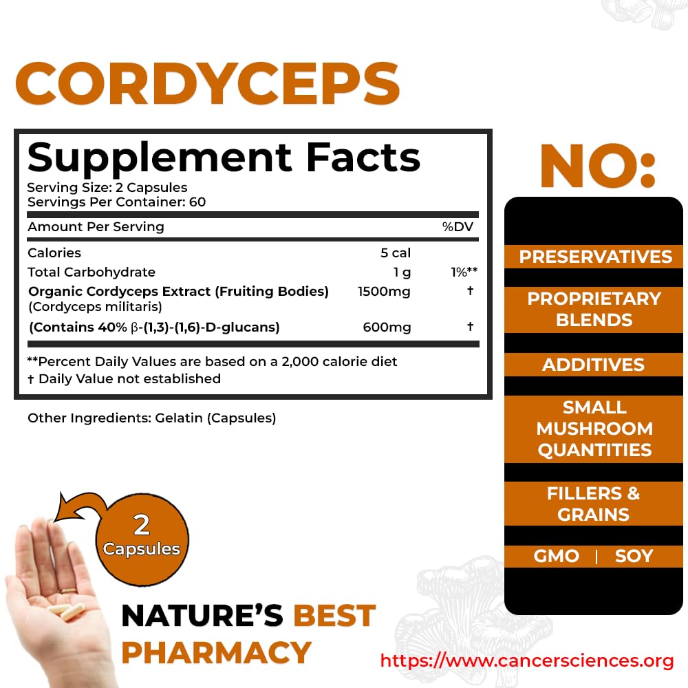 enhance stamina with cordyceps