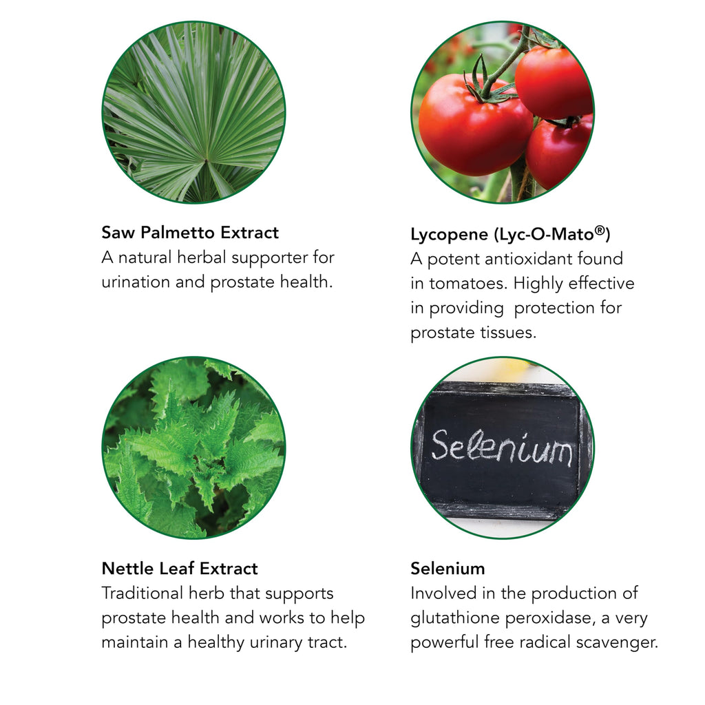 enhance urinary flow with saw palmetto