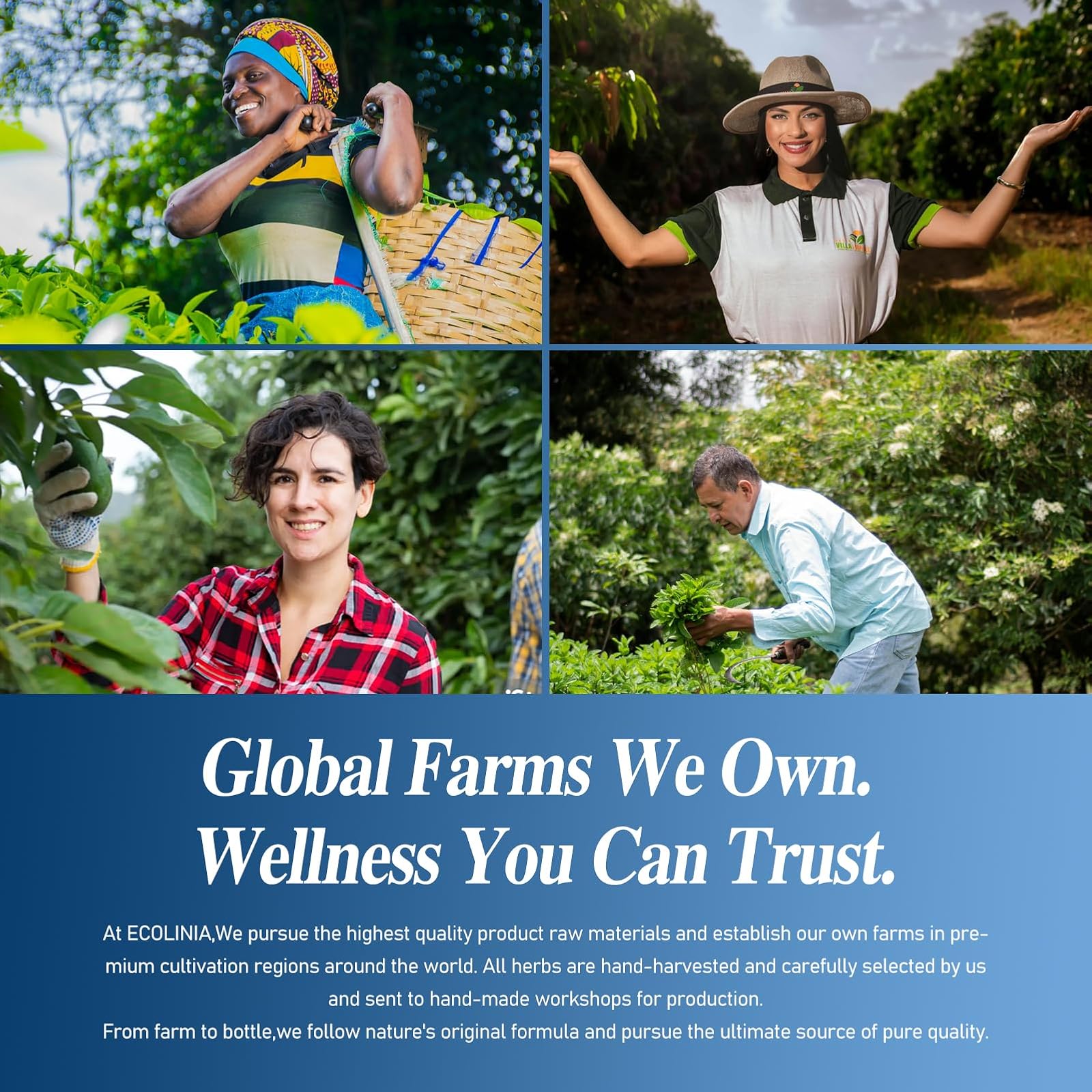 Enhance vision with blueberry extract