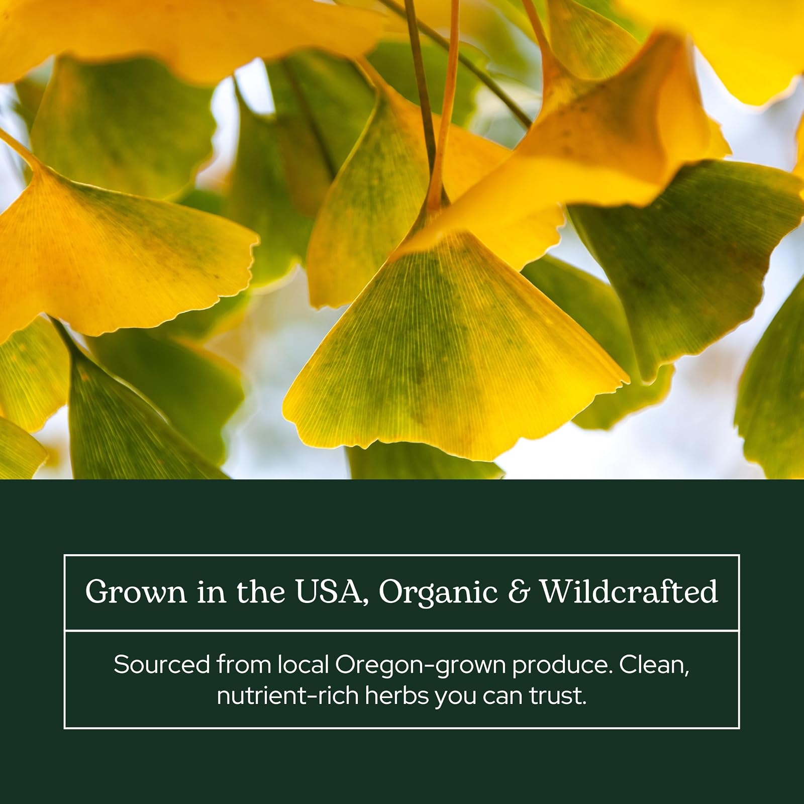 Enhance vision with organic ingredients