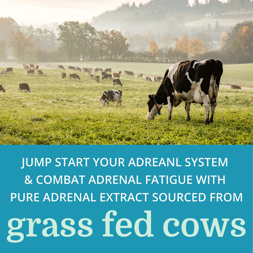 enhance vitality with Adrenergy