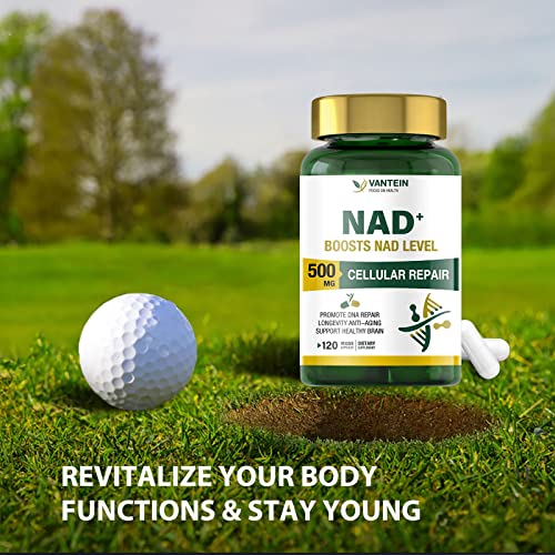 enhance vitality with blended vitamin supplements