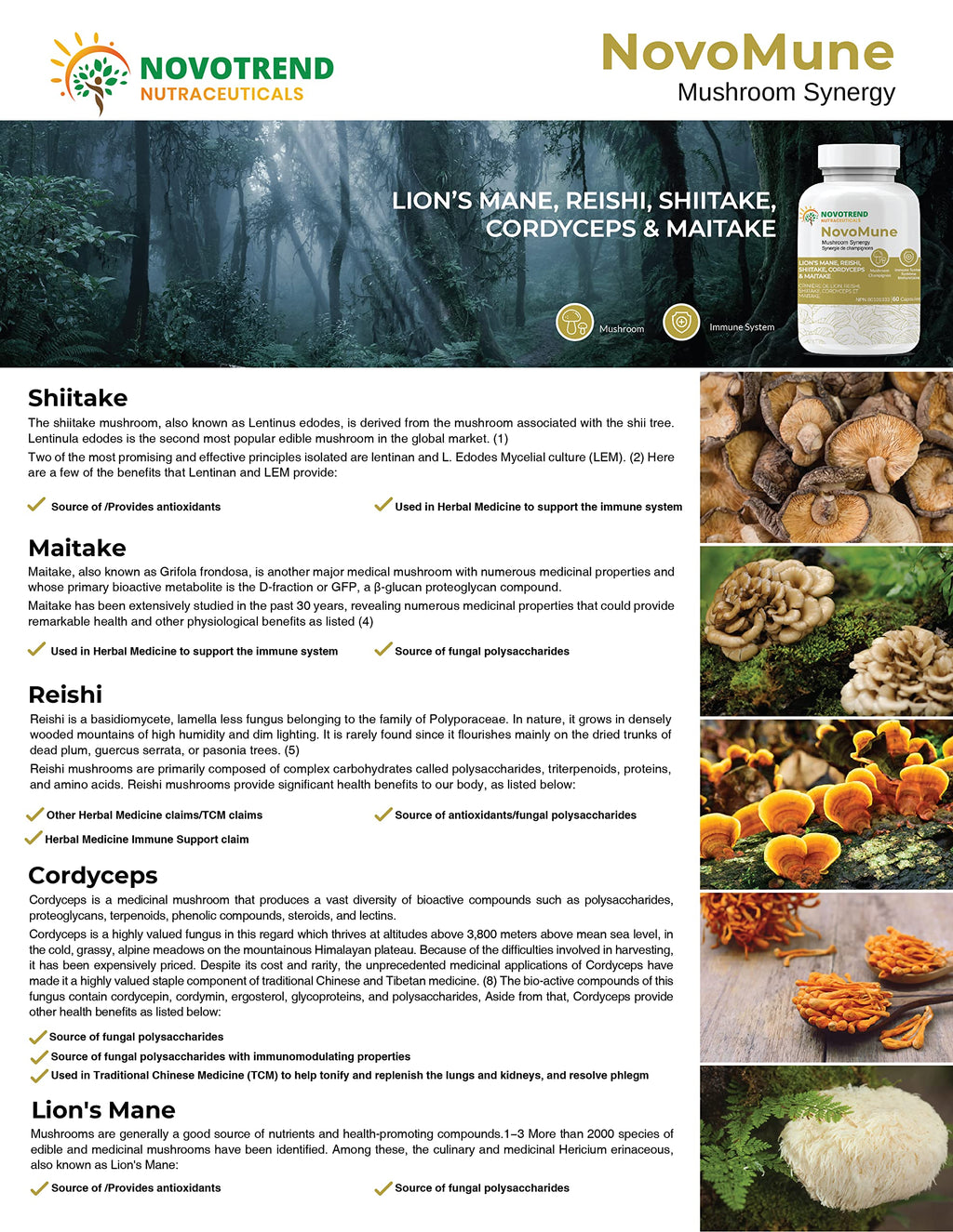 enhance vitality with mushrooms