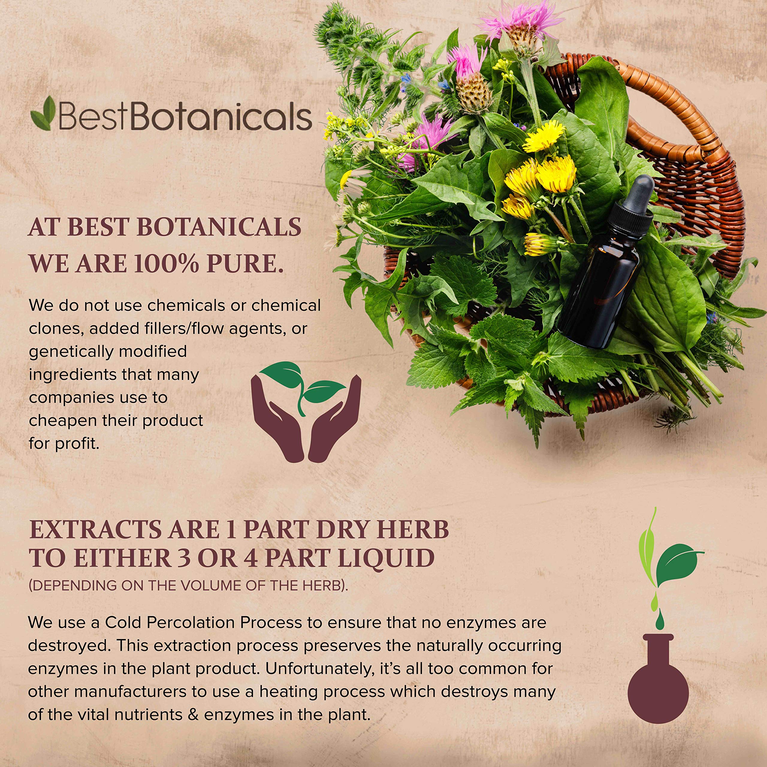 enhance vitality with poke root extract