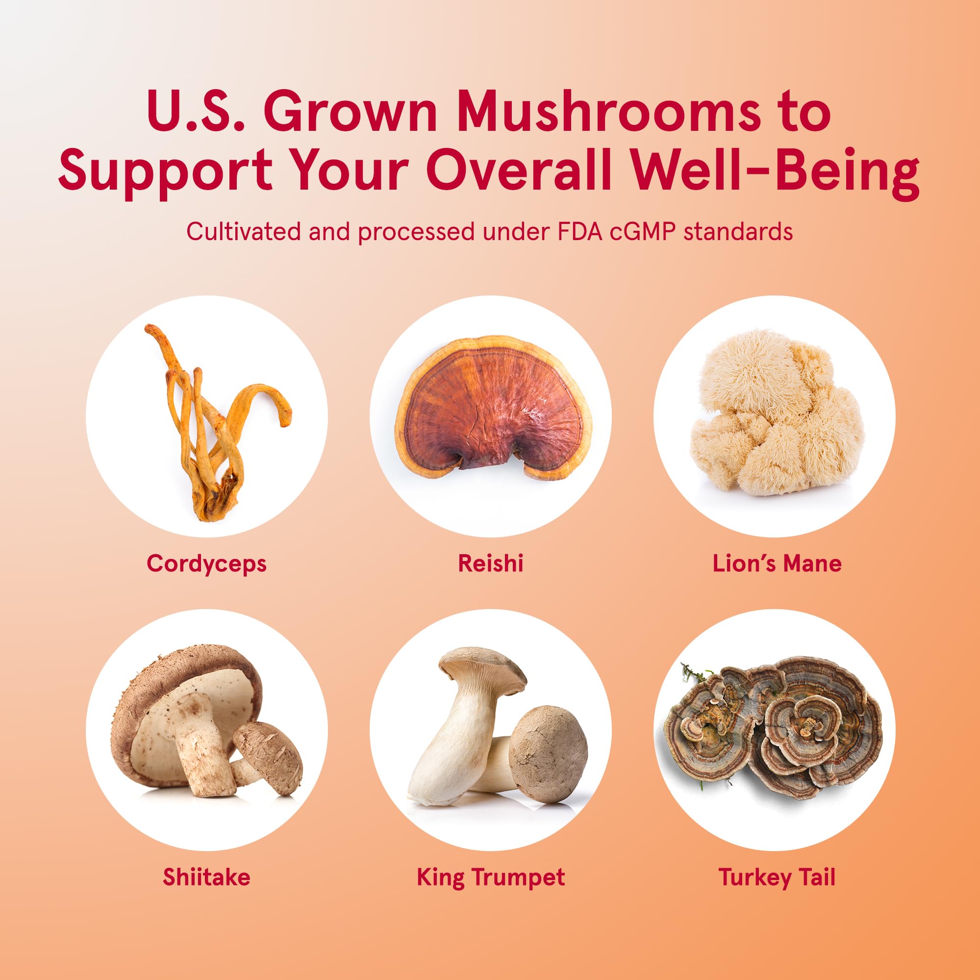 enhance wellness with blended supplements