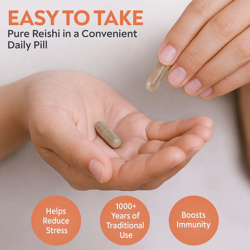 enhance wellness with herbal mushrooms