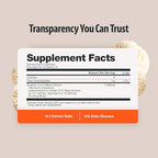 enhance wellness with lion's mane extract