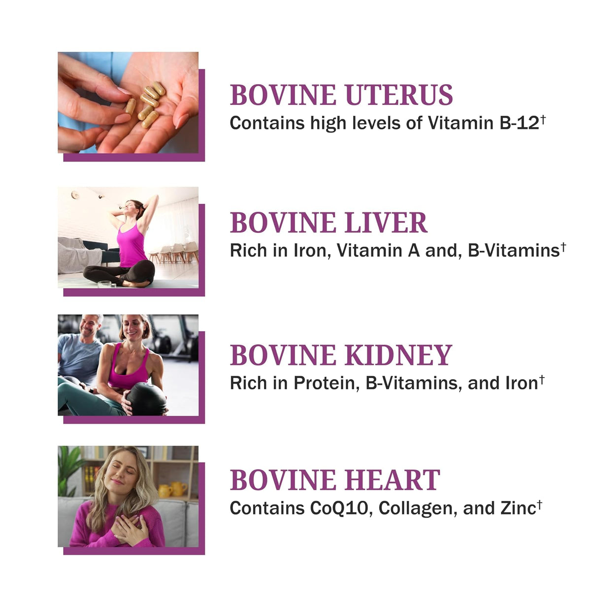 enhance wellness with liver extracts