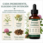 enhance wellness with lymphatic drops