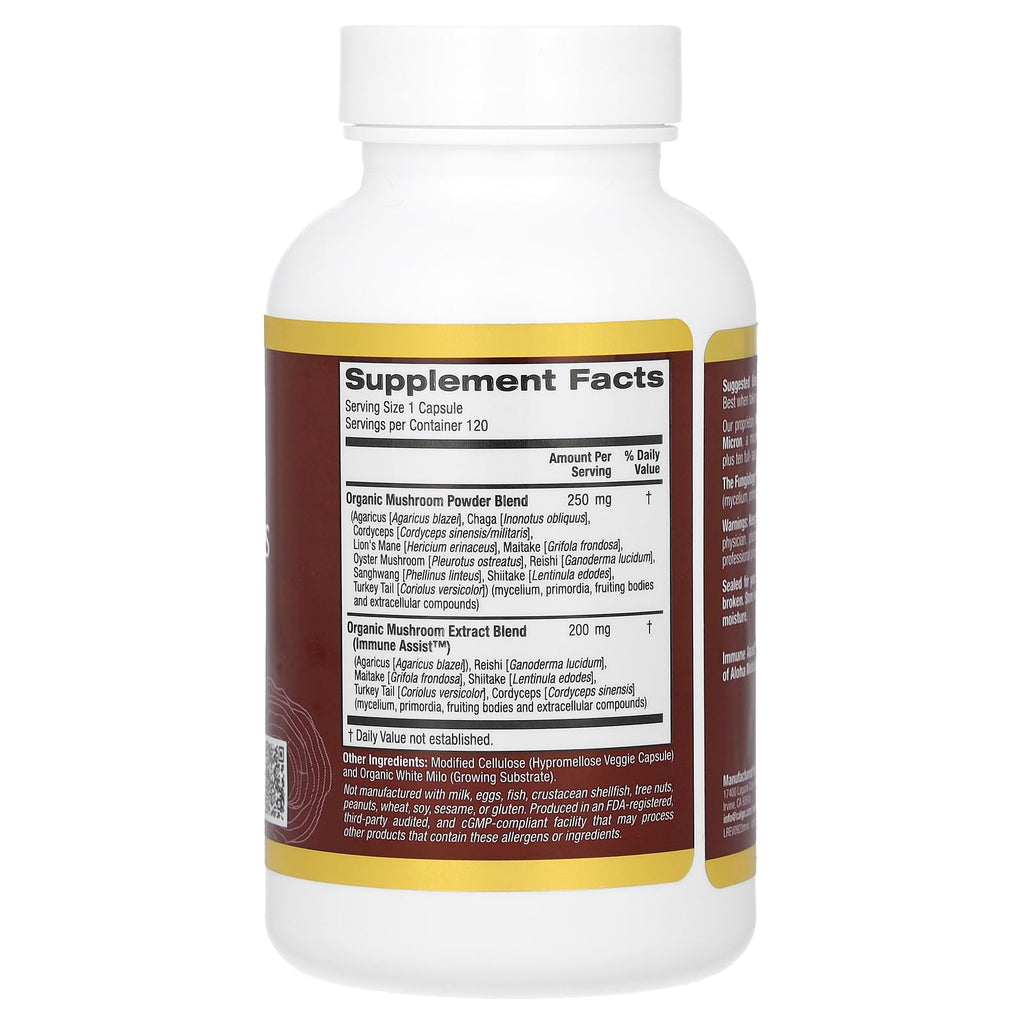 enhance wellness with MushRex Plus