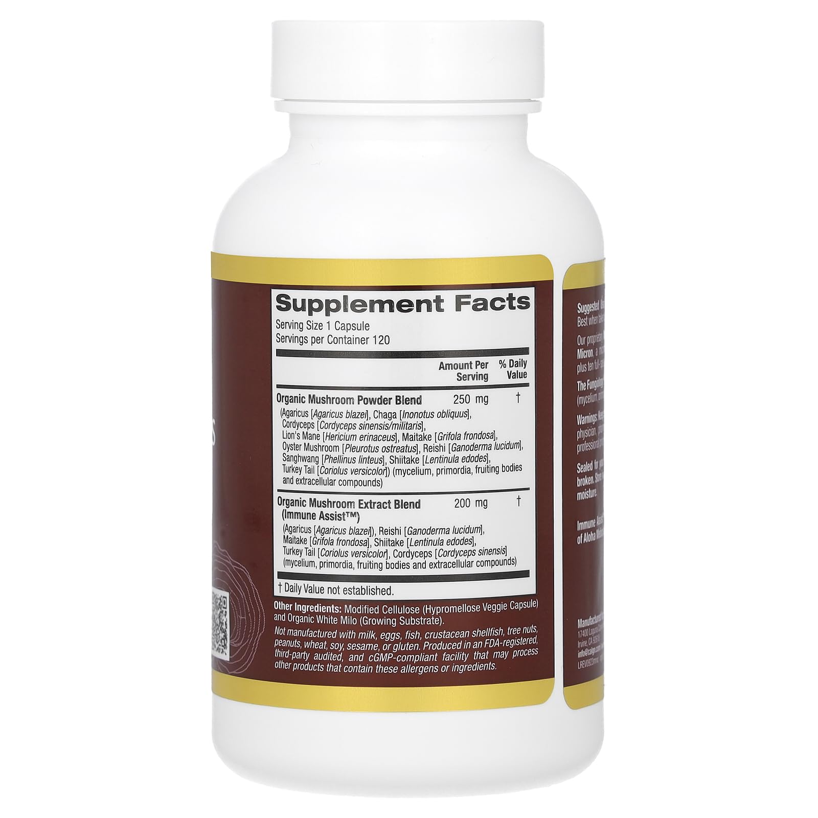 enhance wellness with MushRex Plus