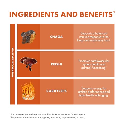Enhance wellness with mushrooms