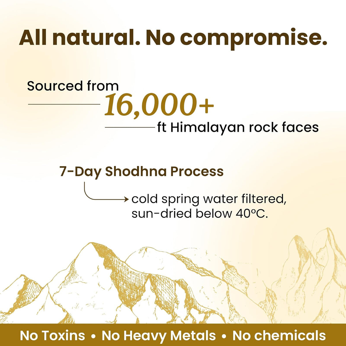 enhance wellness with Shilajit