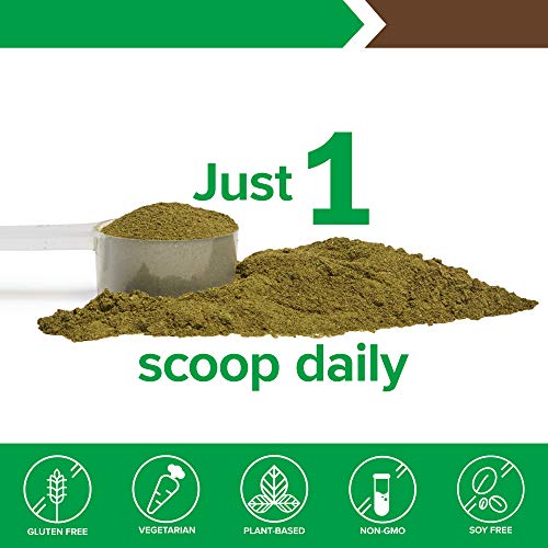 enhance wellness with superfood supplements